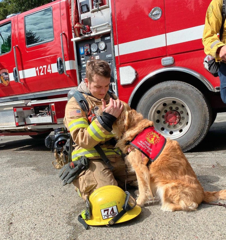 Training First Responder Therapy Dogs