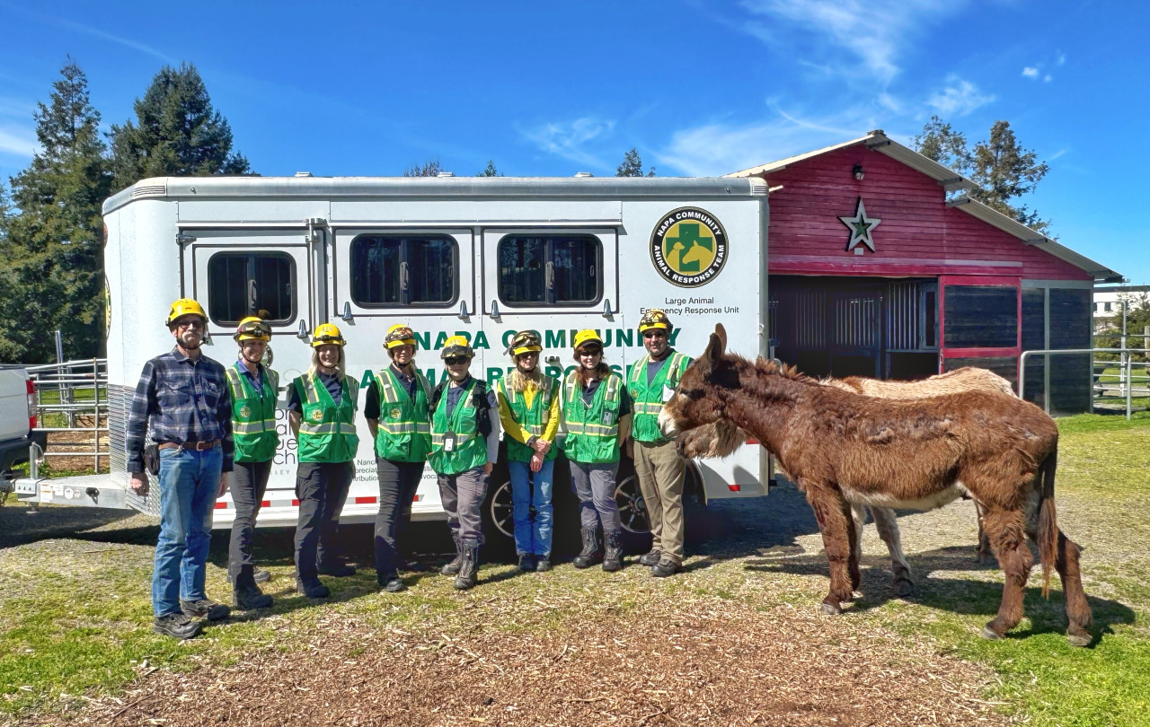 Animal & Pet Disaster Preparedness w/ Napa CART